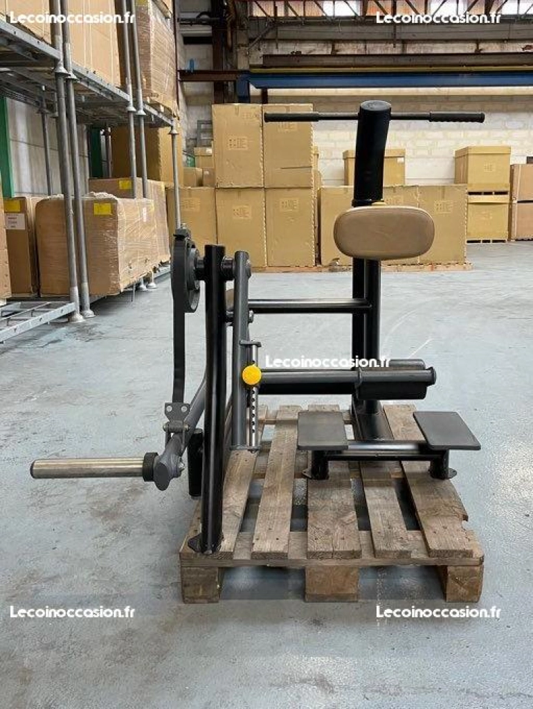 Musculation | stand leg curl js1176 spartek occasion | tinast.fr
